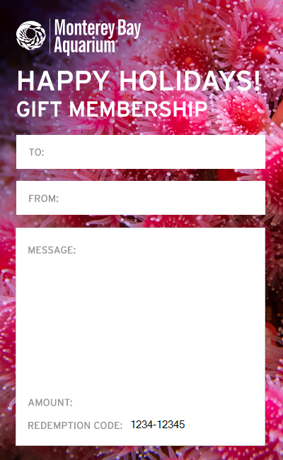 Give a gift membership | Monterey Bay Aquarium