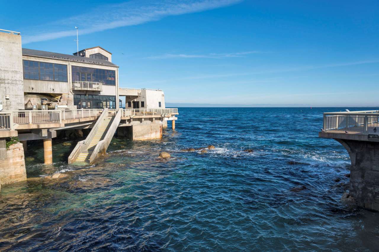 King tides 101 | Monterey Bay Aquarium