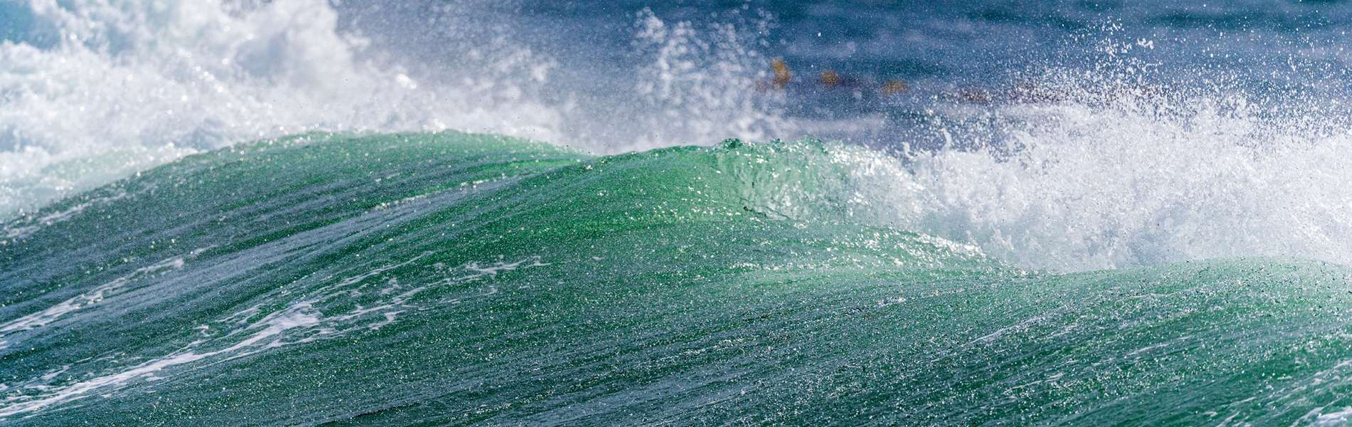 Climate change | What you can do | Monterey Bay Aquarium