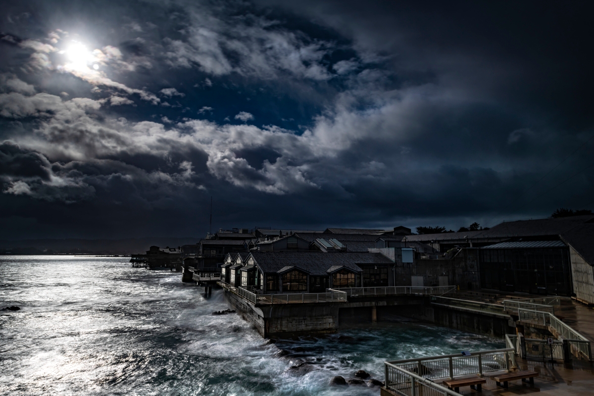 Monterey tide pool tips | Monterey Bay Aquarium