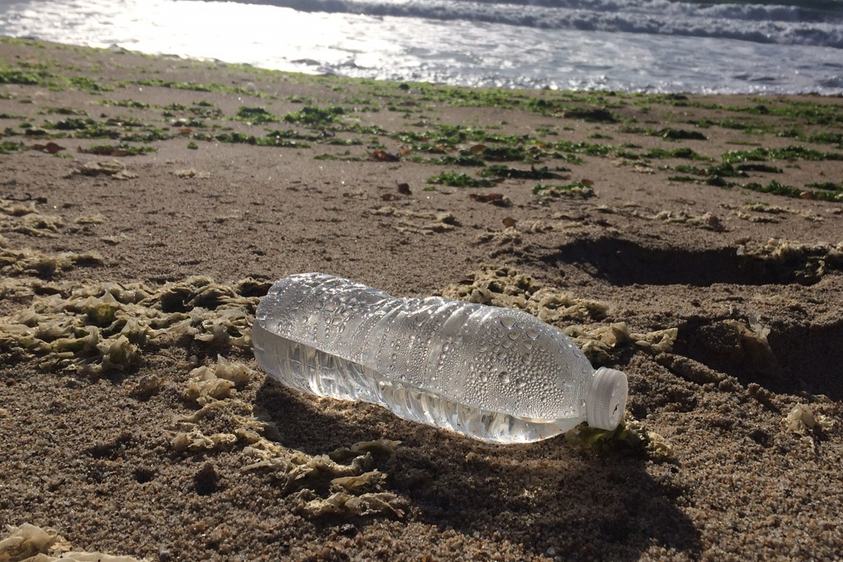 Curriculum 9-12 | Biomagnification | Monterey Bay Aquarium