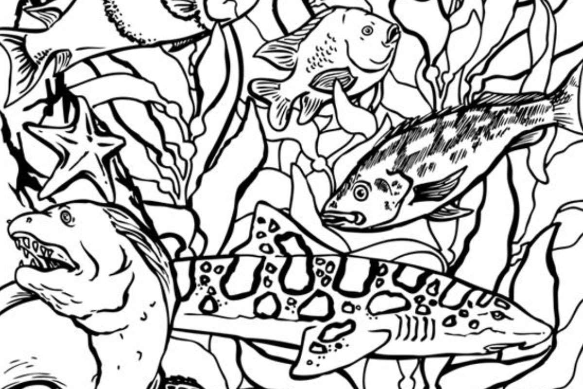 sea creature coloring pages free printable