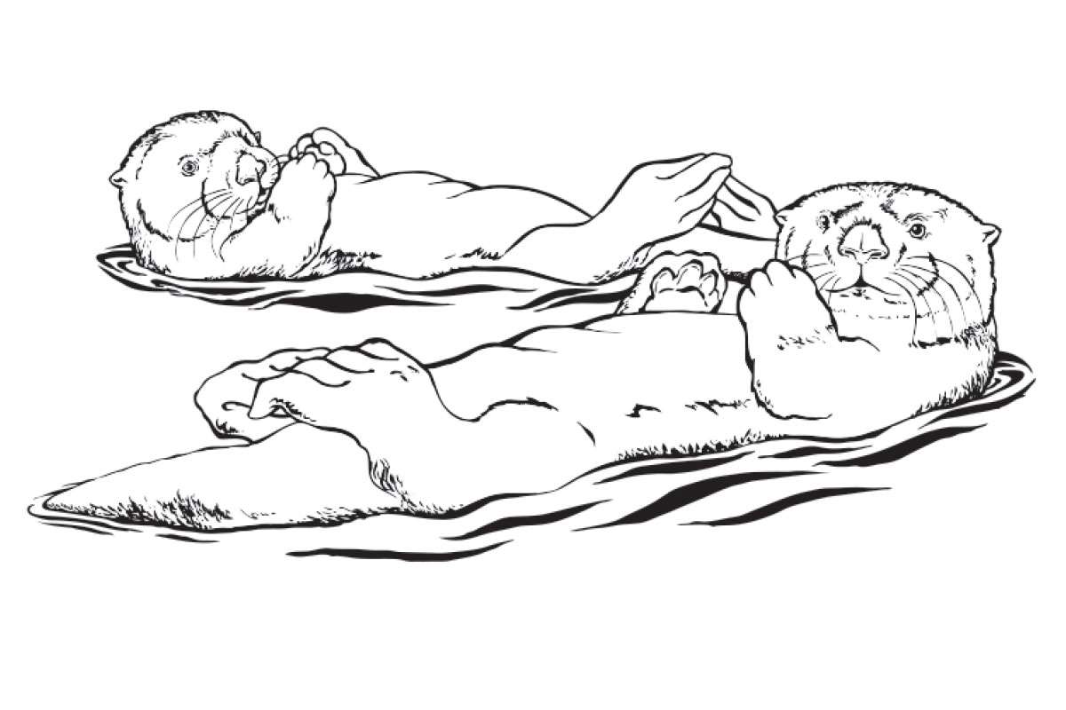 realistic animal coloring pages printable free