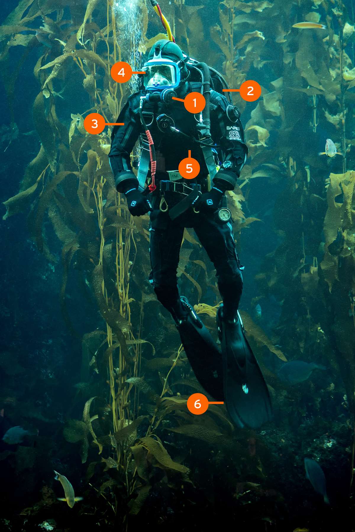 Scuba Diving Suit 6 Key Differences In Diving A Dry Suit Vs A Wetsuit