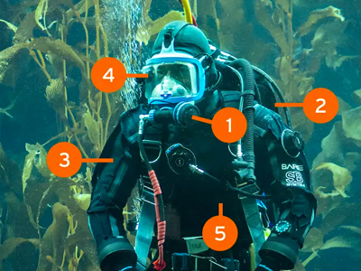 Sea otter puppet | Activities | Monterey Bay Aquarium