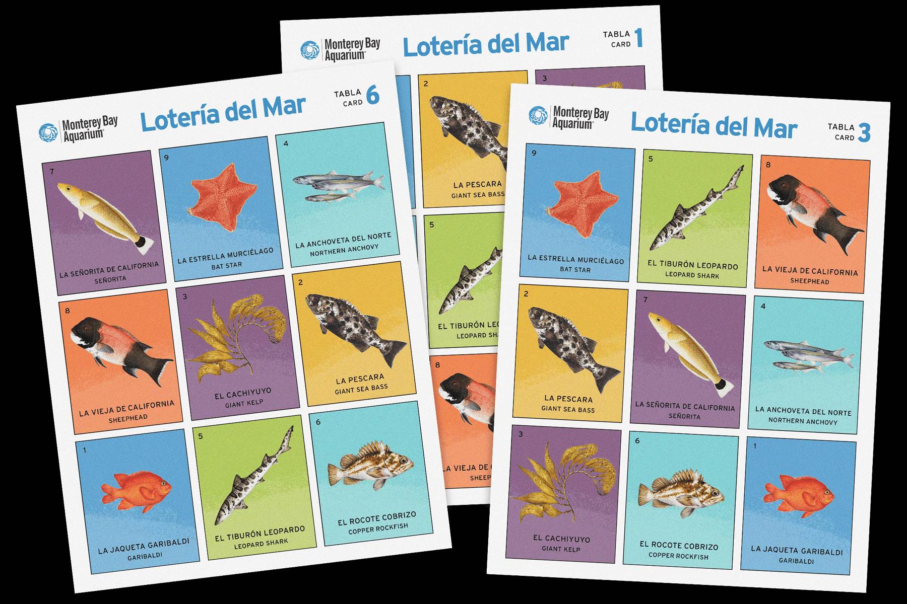 ¡Bienvenides! | Monterey Bay Aquarium