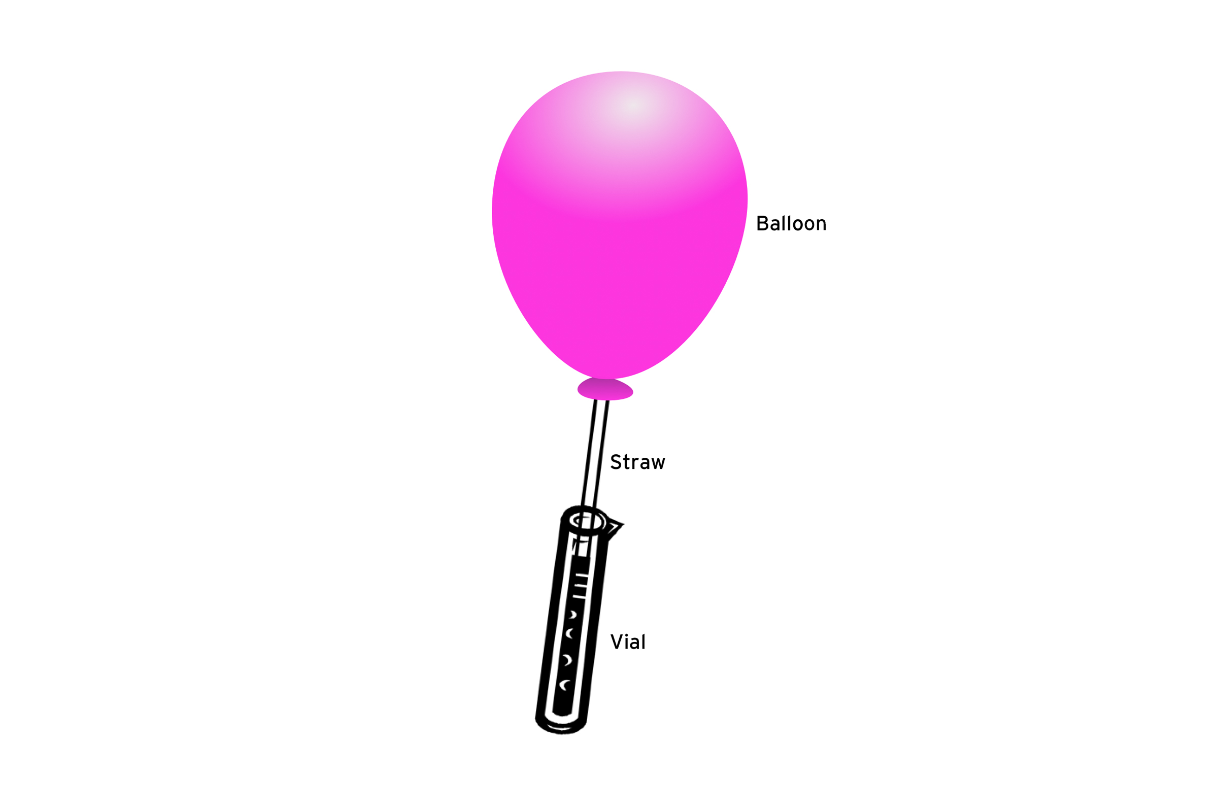 Curriculum 9-12 | The power of pH | Monterey Bay Aquarium