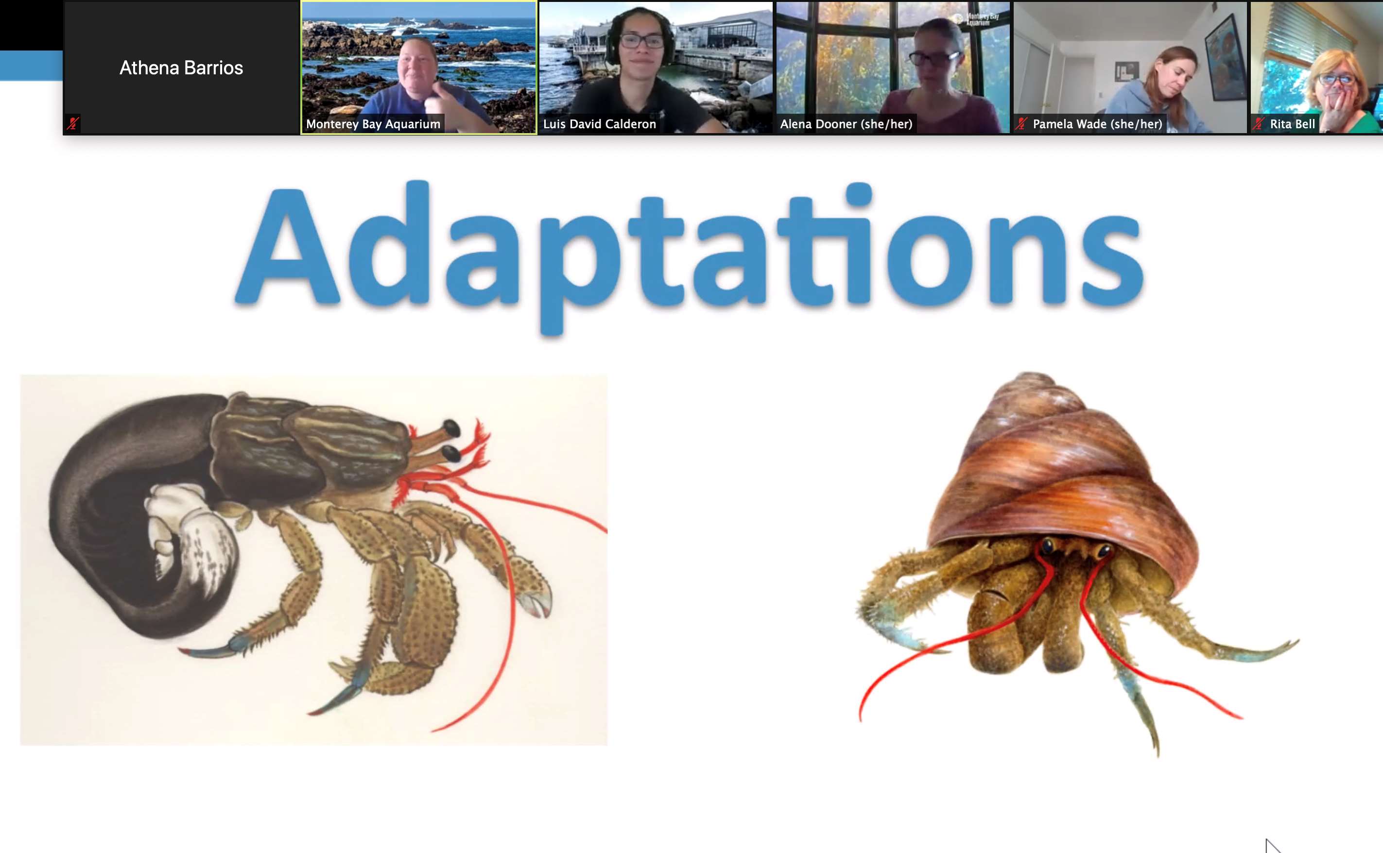 Virtual field trips bring the Aquarium to the students | Stories ...