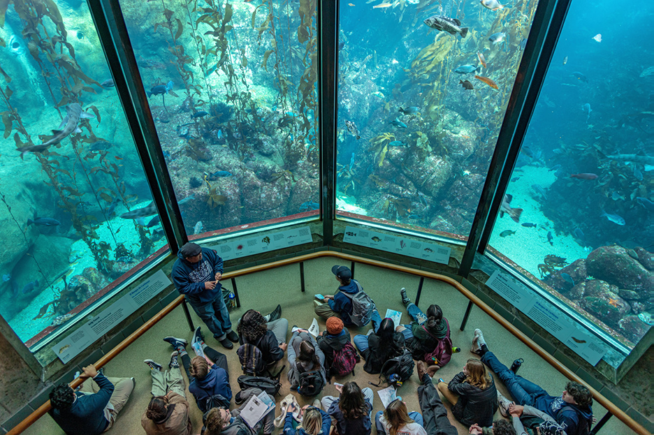 Other ways to visit | Monterey Bay Aquarium