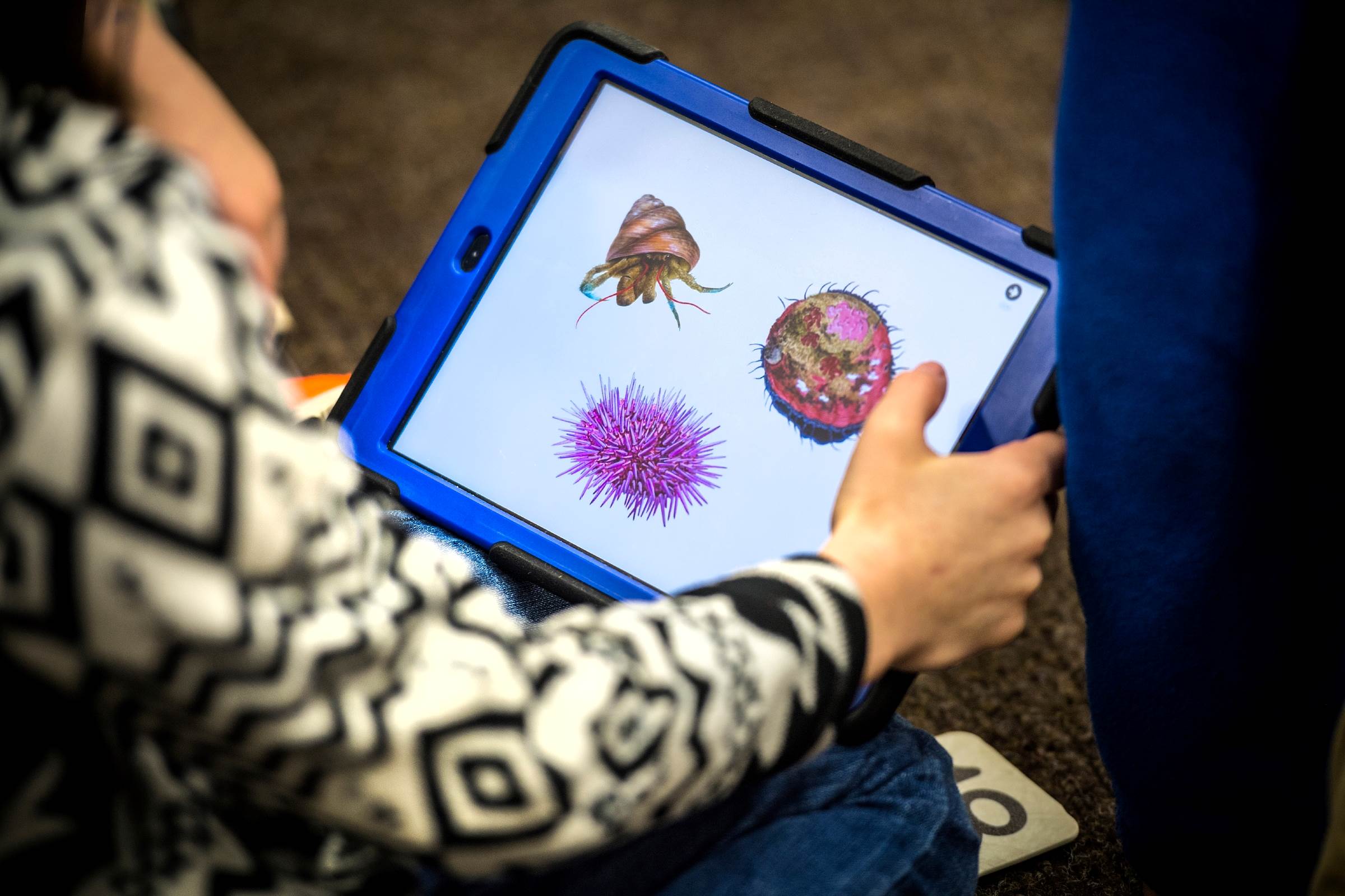 The day of your field trip | Plan your field trip | Monterey Bay Aquarium