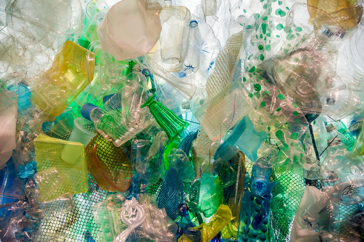 What's the deal with the octopus poop noodle? | Monterey Bay Aquarium