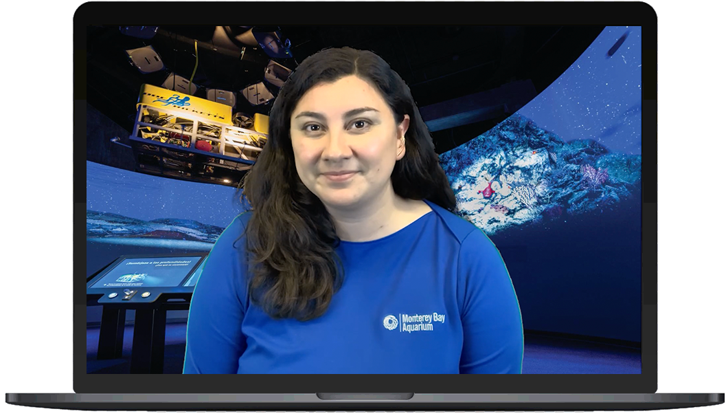 Online course helps students explore the deep sea — one line of code at ...