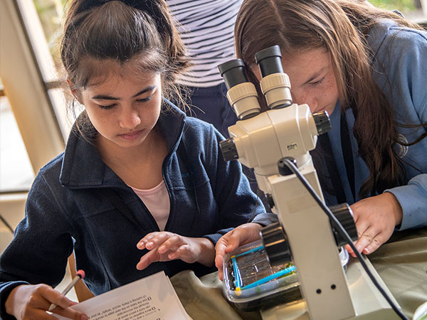 Project-based science examples | Monterey Bay Aquarium