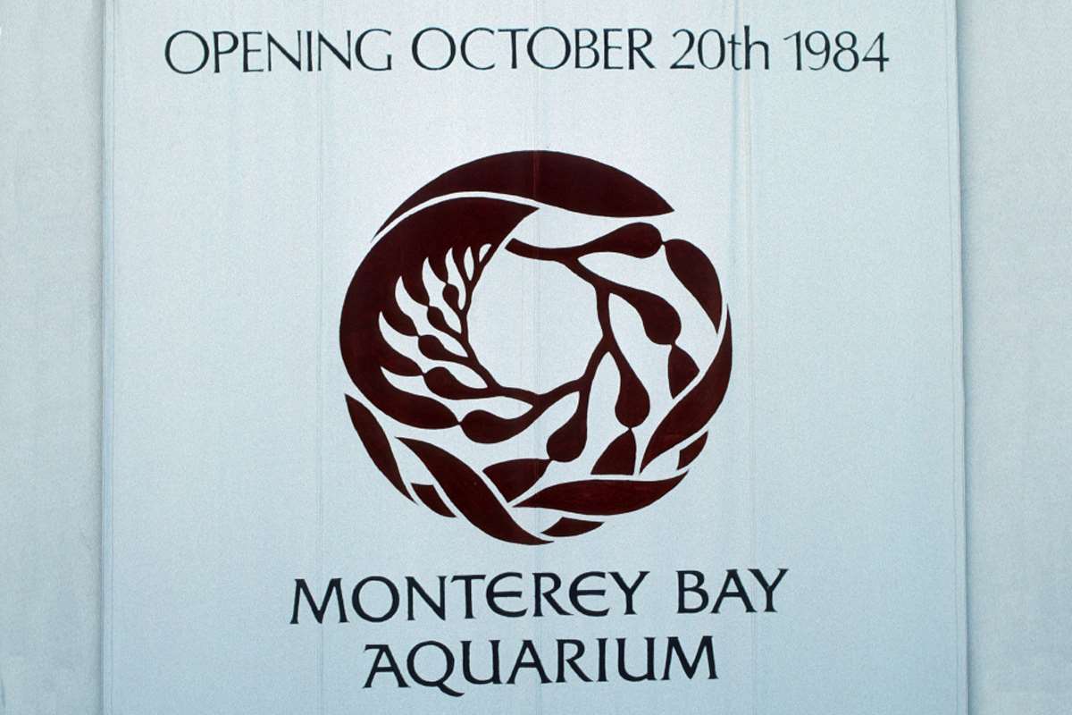 Our history | Monterey Bay Aquarium