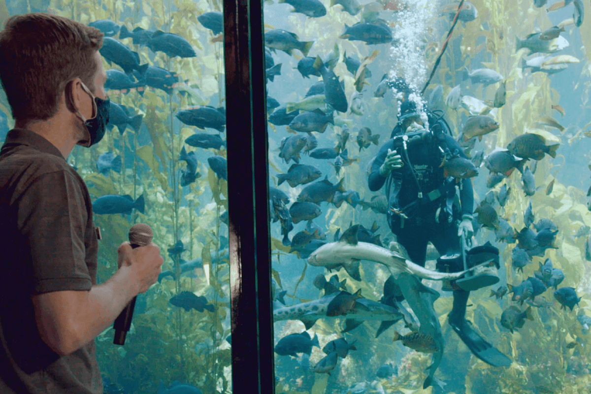 Dive into our virtual events | Monterey Bay Aquarium