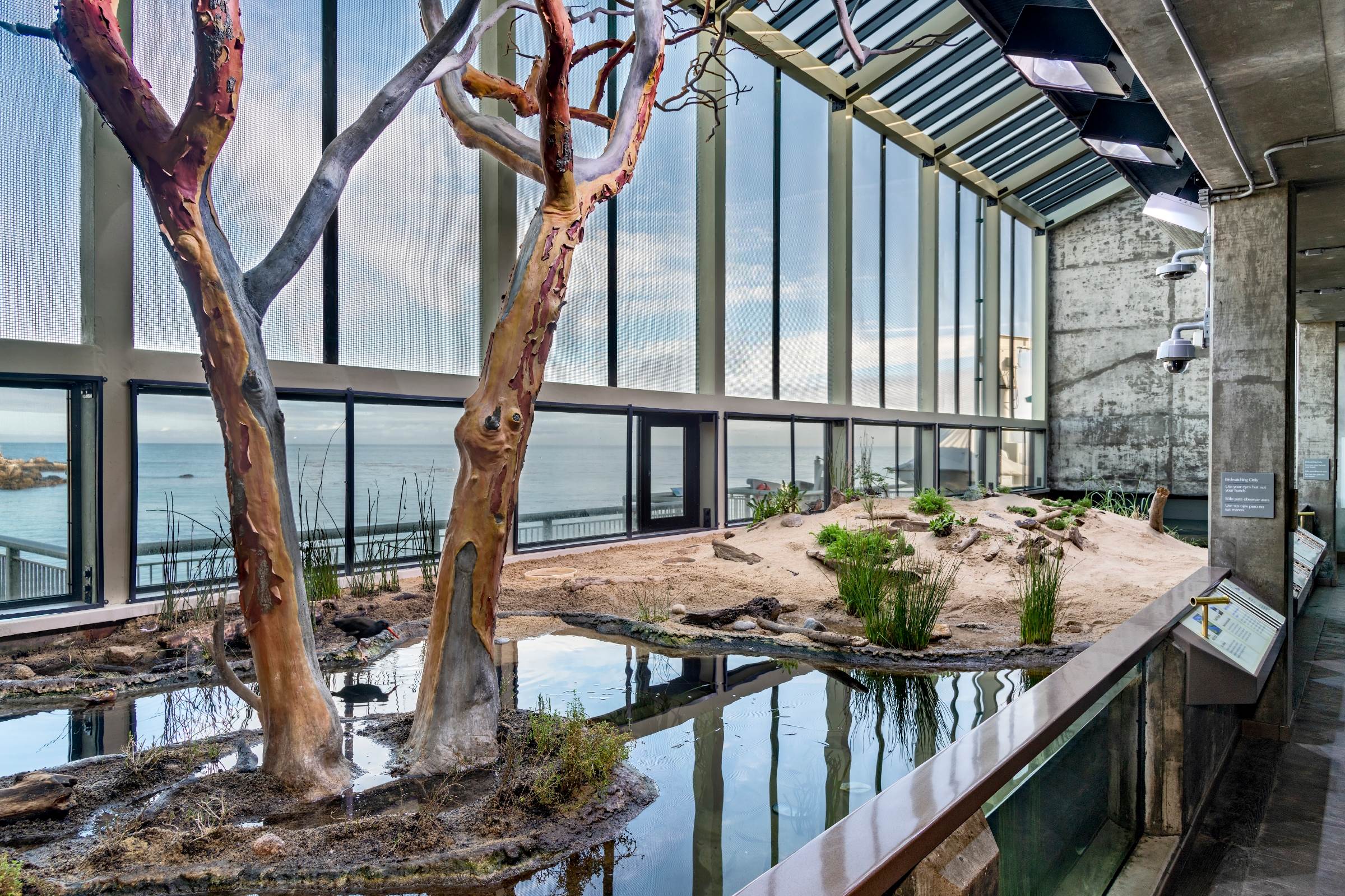 Sandy Shore & Aviary | Exhibit | Monterey Bay Aquarium