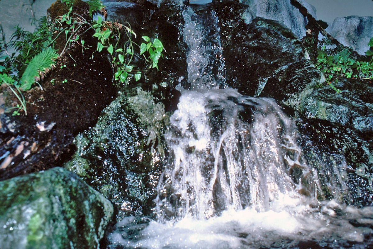 Curriculum 3-5 | Shower curtain watershed | Monterey Bay Aquarium