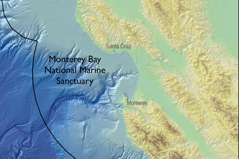 The seafloor | Into the Deep | Exhibition | Monterey Bay Aquarium
