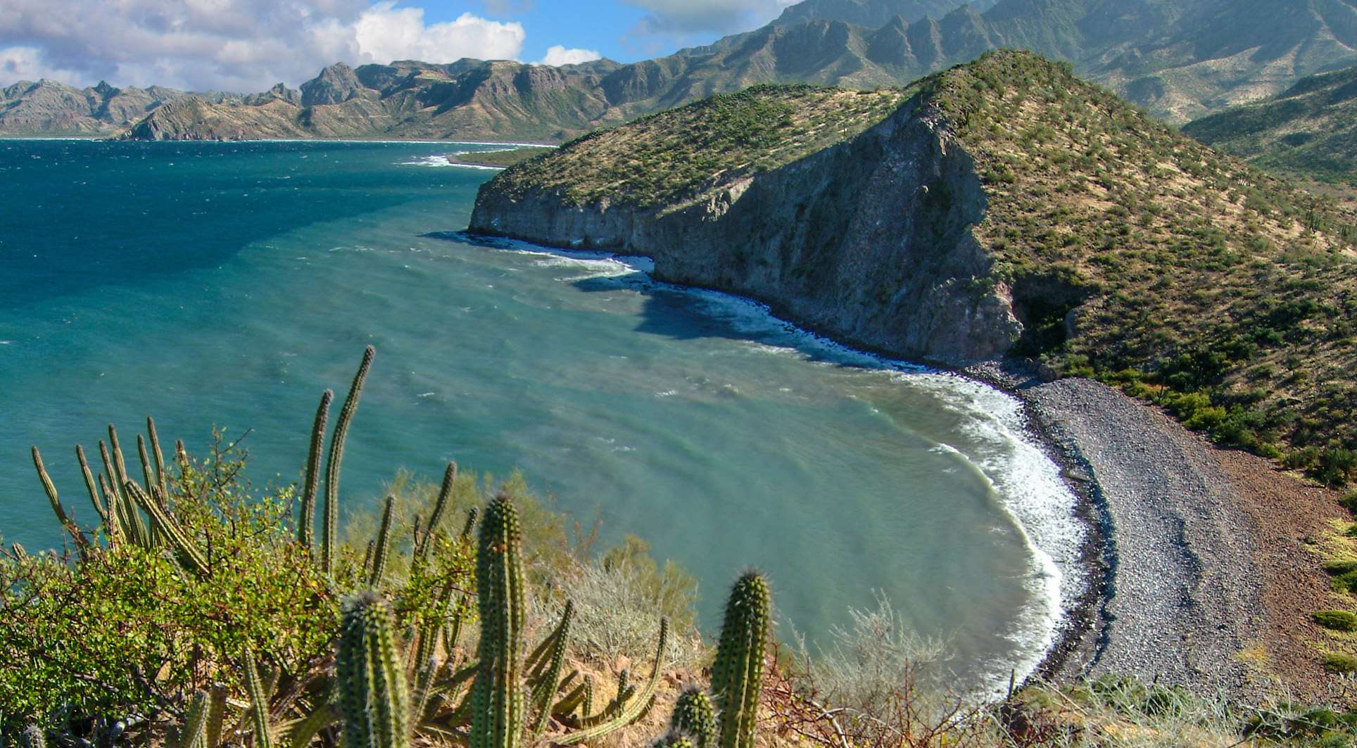 ¡Viva Baja! lives on | Stories | Monterey Bay Aquarium