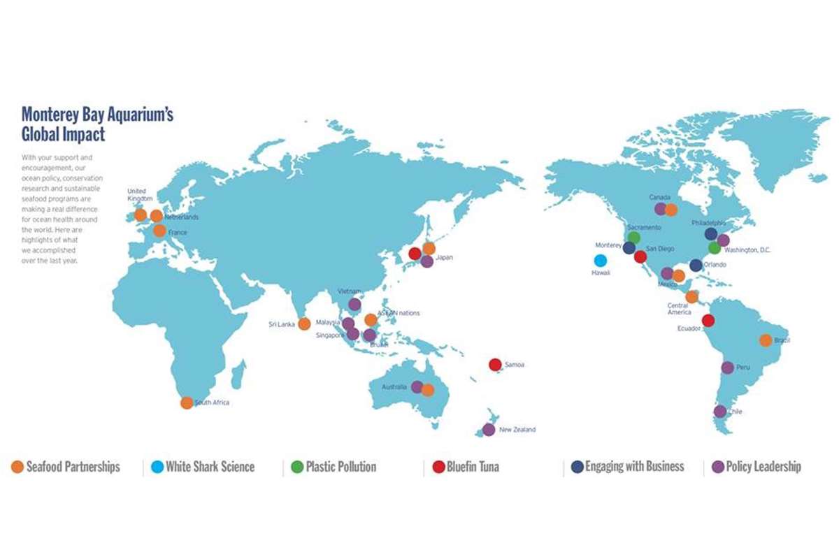 A global spotlight on sustainable seafood | Monterey Bay Aquarium