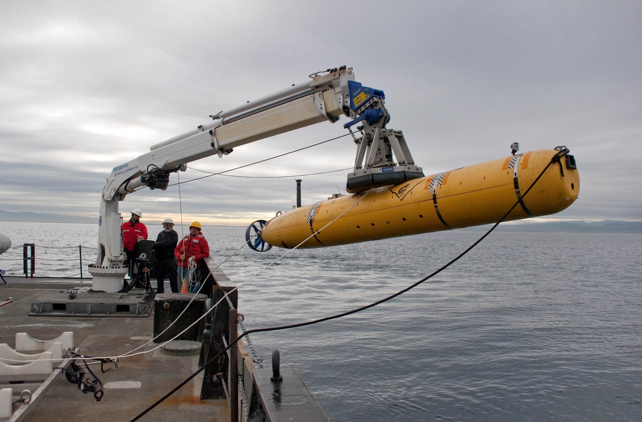 Online course helps students explore the deep sea — one line of code at ...