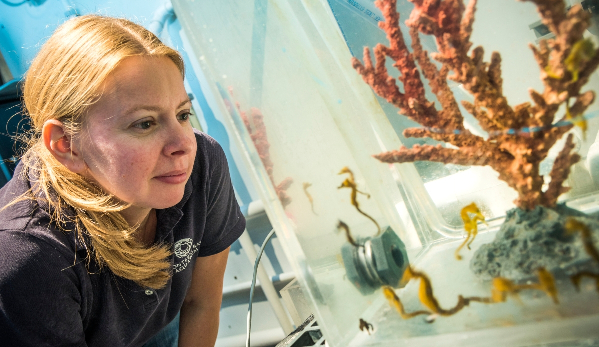 Women pioneers in ocean science | Stories | Monterey Bay Aquarium