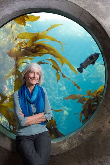 Julie Packard: It’s time to invest in the ocean | Monterey Bay Aquarium