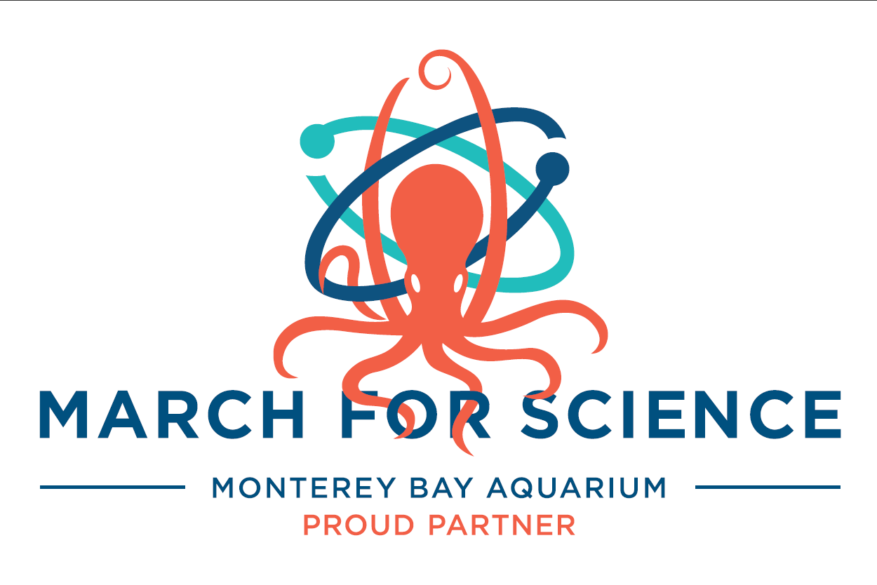 Our commitment to science: white shark research | Monterey Bay Aquarium