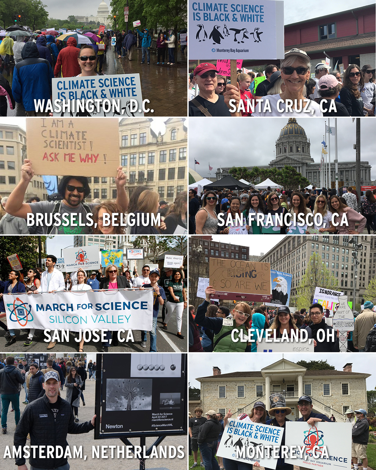 After a jubilant March for Science, we’re marching on for the ocean ...