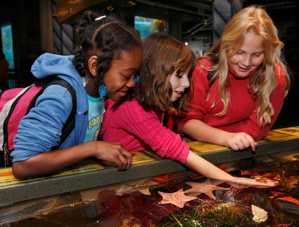Shaping new generations of science-literate citizens | Monterey Bay ...