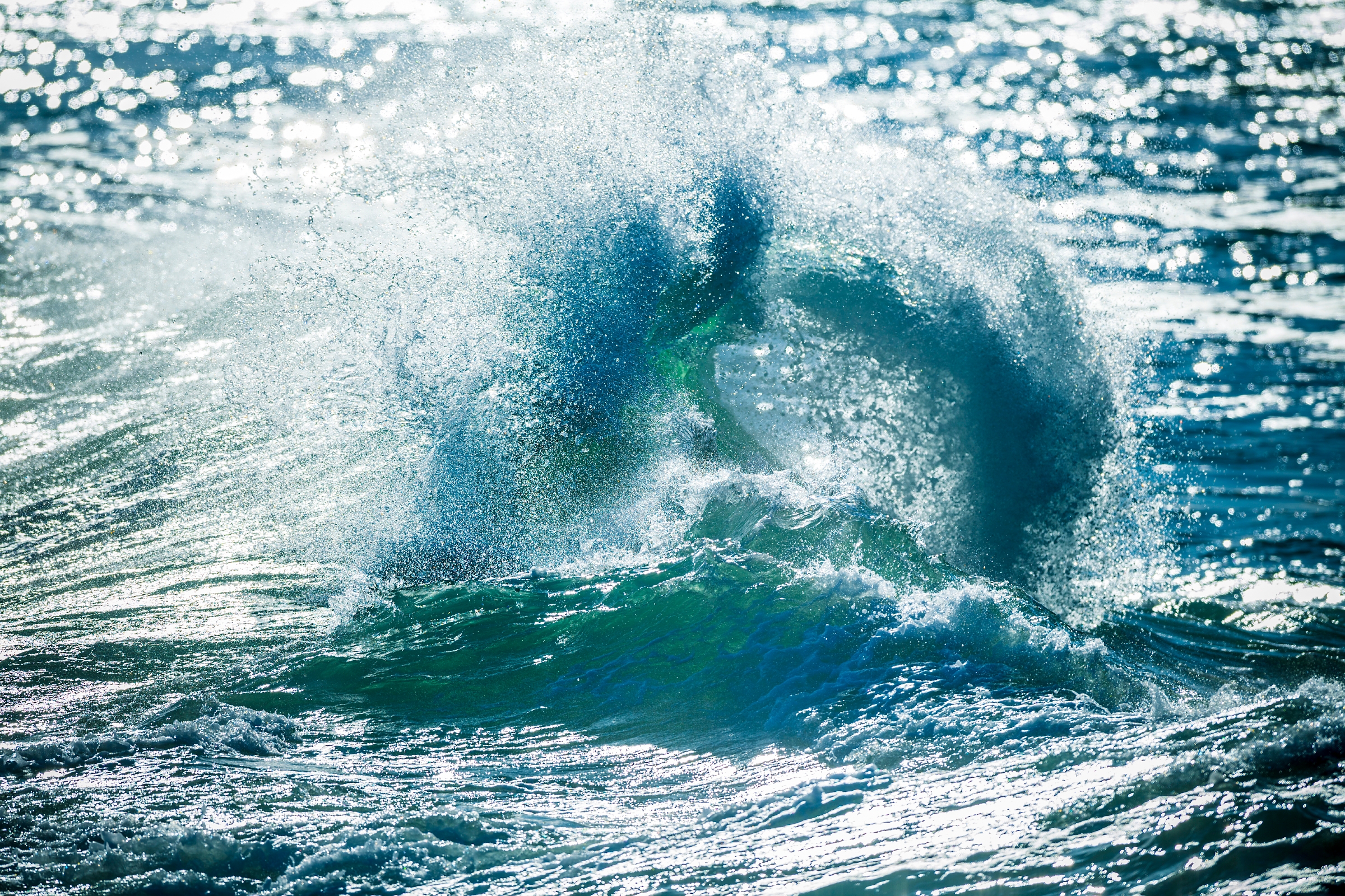 Ocean haikus from Aquarium staff | Monterey Bay Aquarium