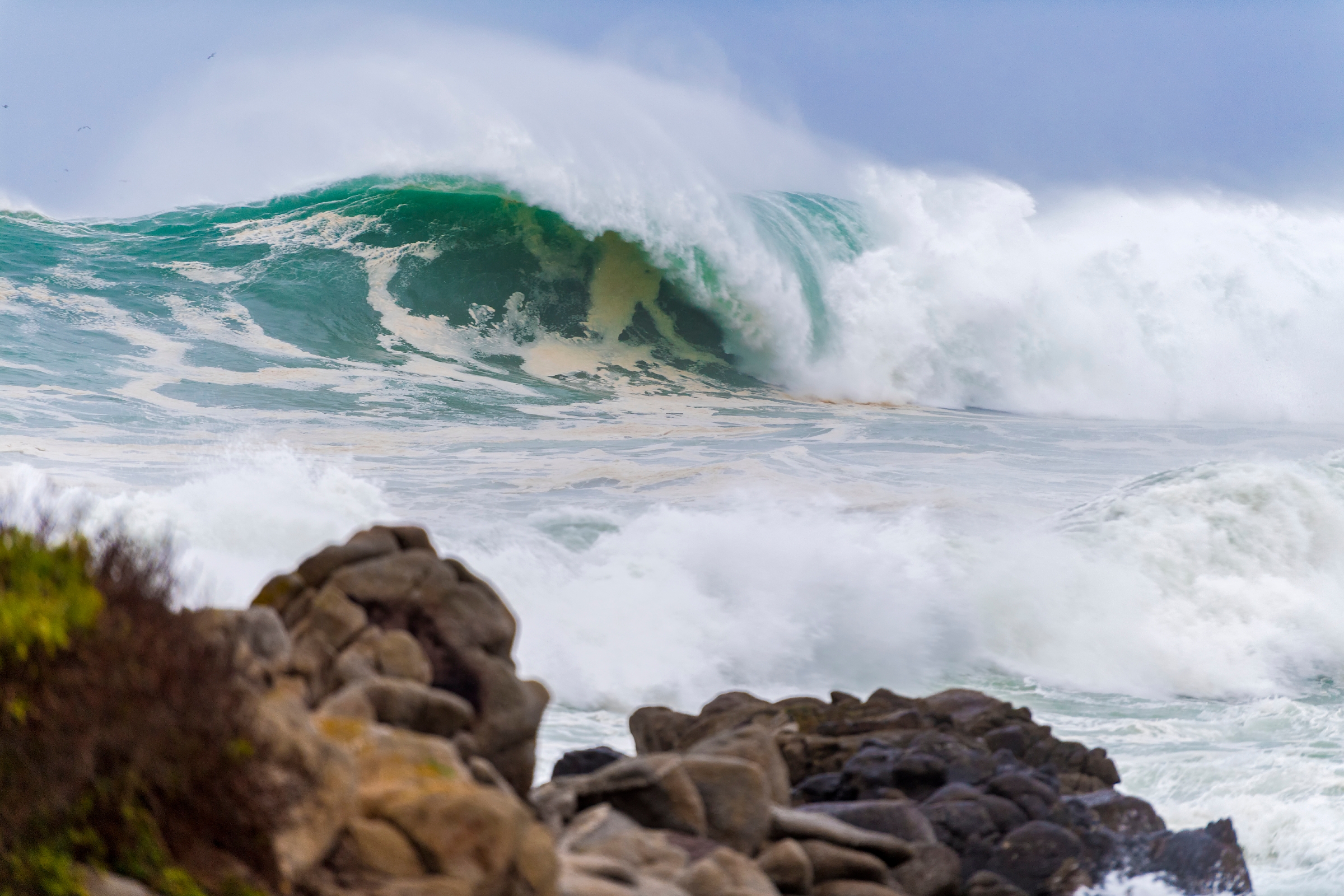 The world unites to protect Our Ocean | Monterey Bay Aquarium