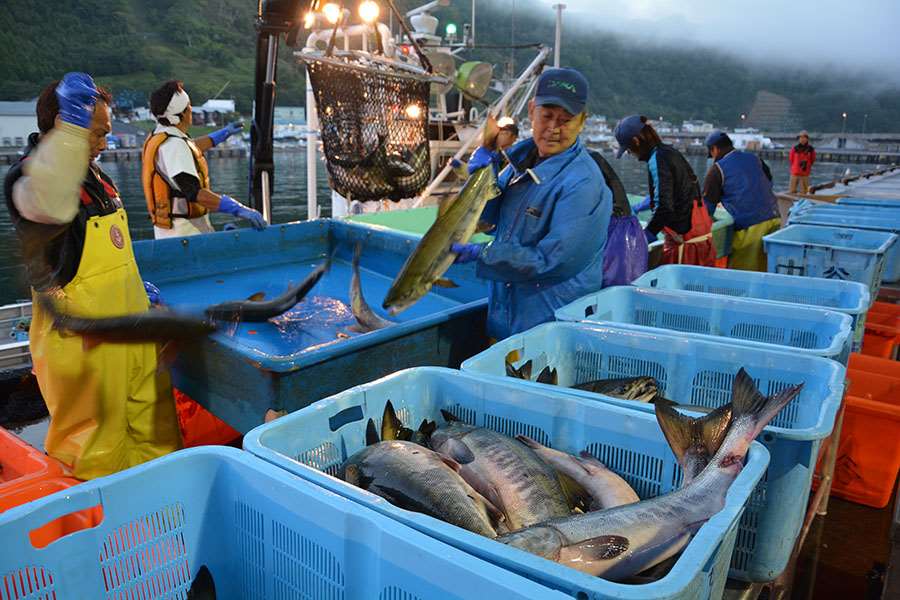 Japan sets its sights on sustainable seafood | Stories | Monterey Bay ...