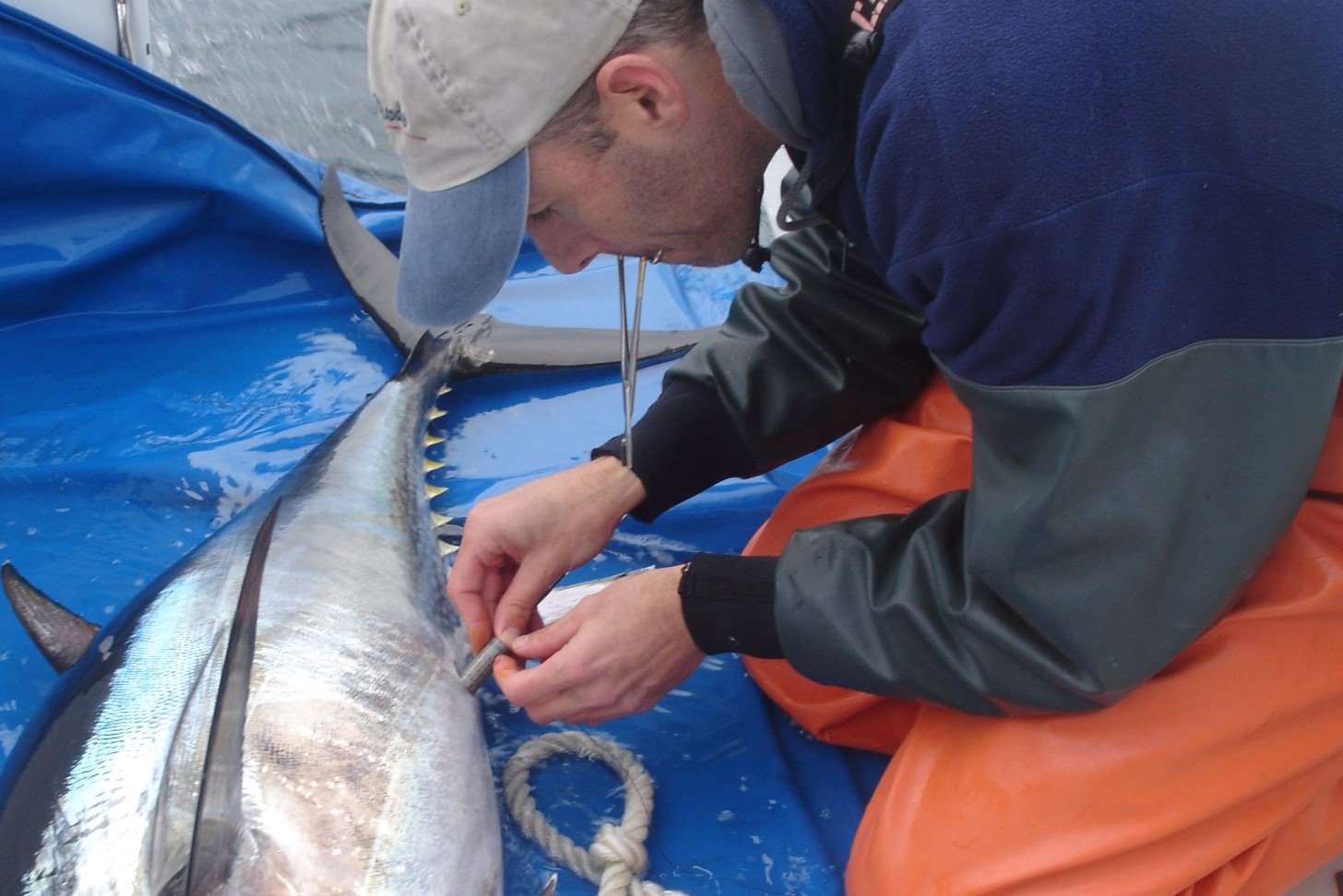 How our fossil fuel habit is changing the future of seafood | Stories ...
