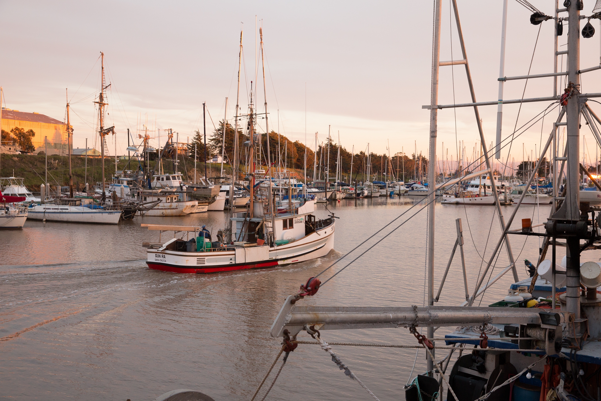 Untangling the mysteries of deep-sea food webs | Stories | Monterey Bay ...