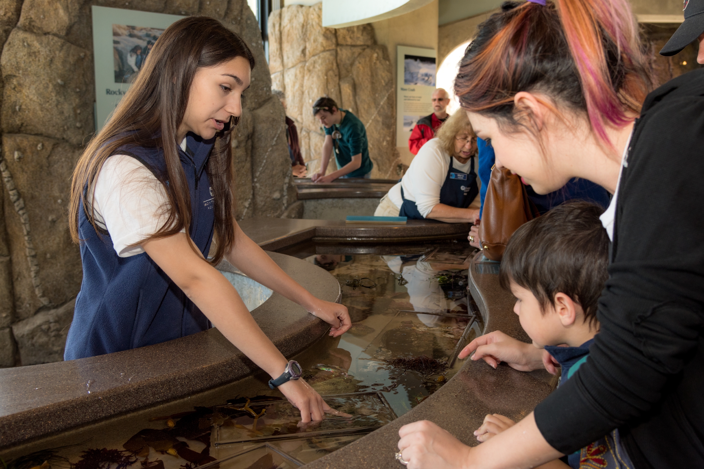 Untangling the mysteries of deep-sea food webs | Stories | Monterey Bay ...