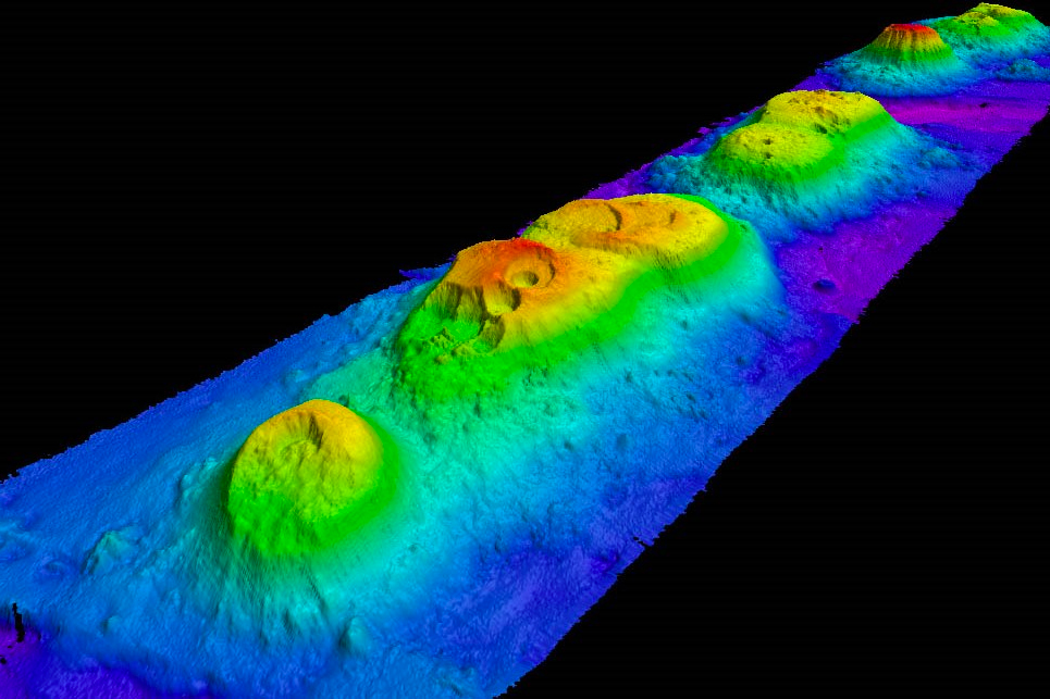 Into the Deep | Exhibition | Monterey Bay Aquarium