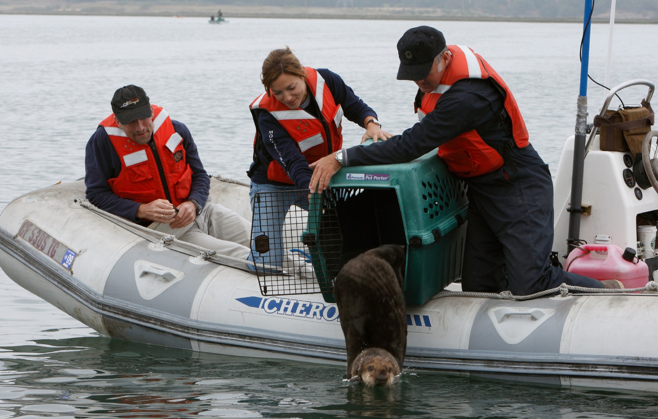 Marching ahead with ocean conservation science | Stories | Monterey Bay ...