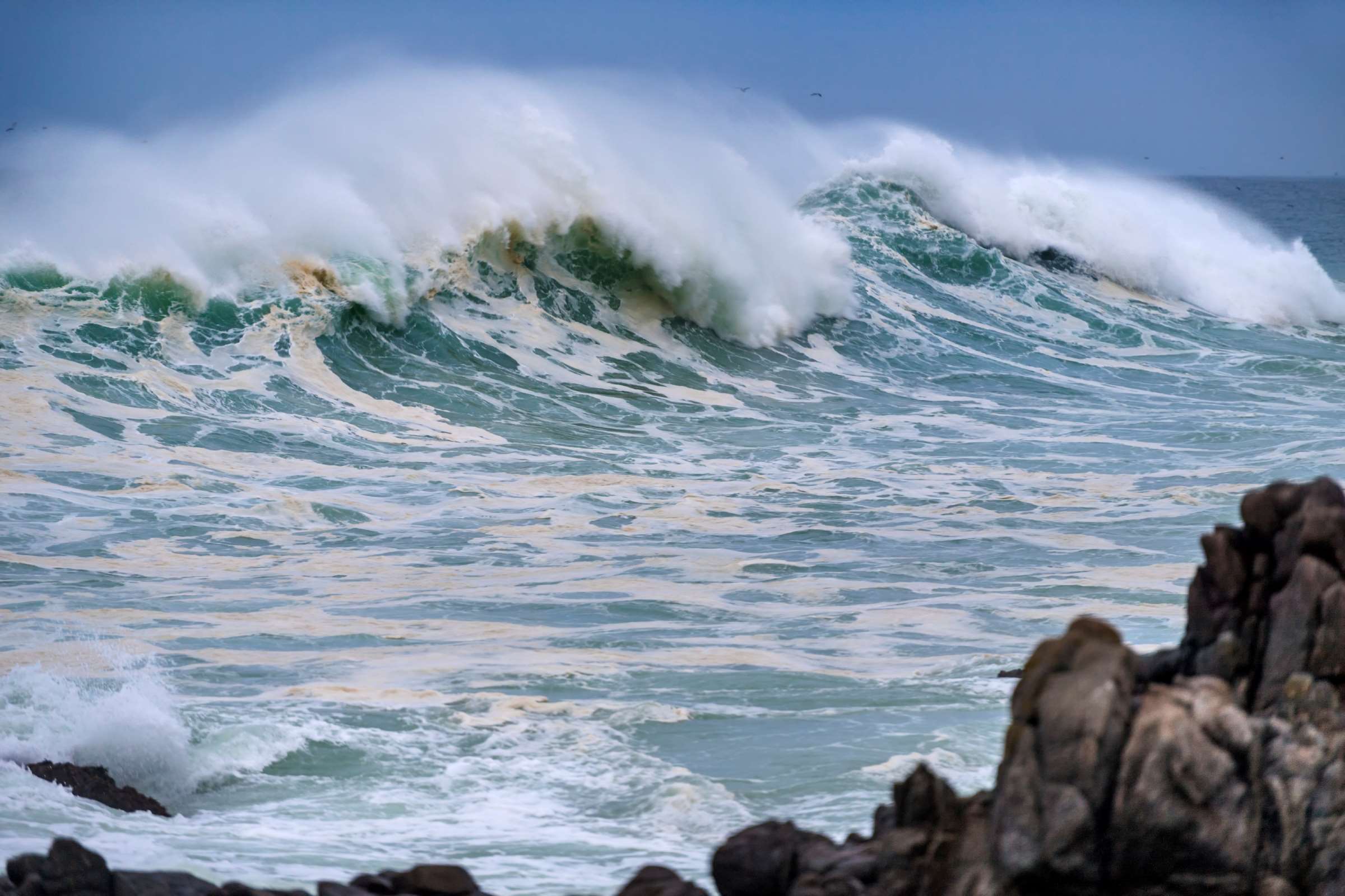 Protecting the ocean | Stories | Monterey Bay Aquarium