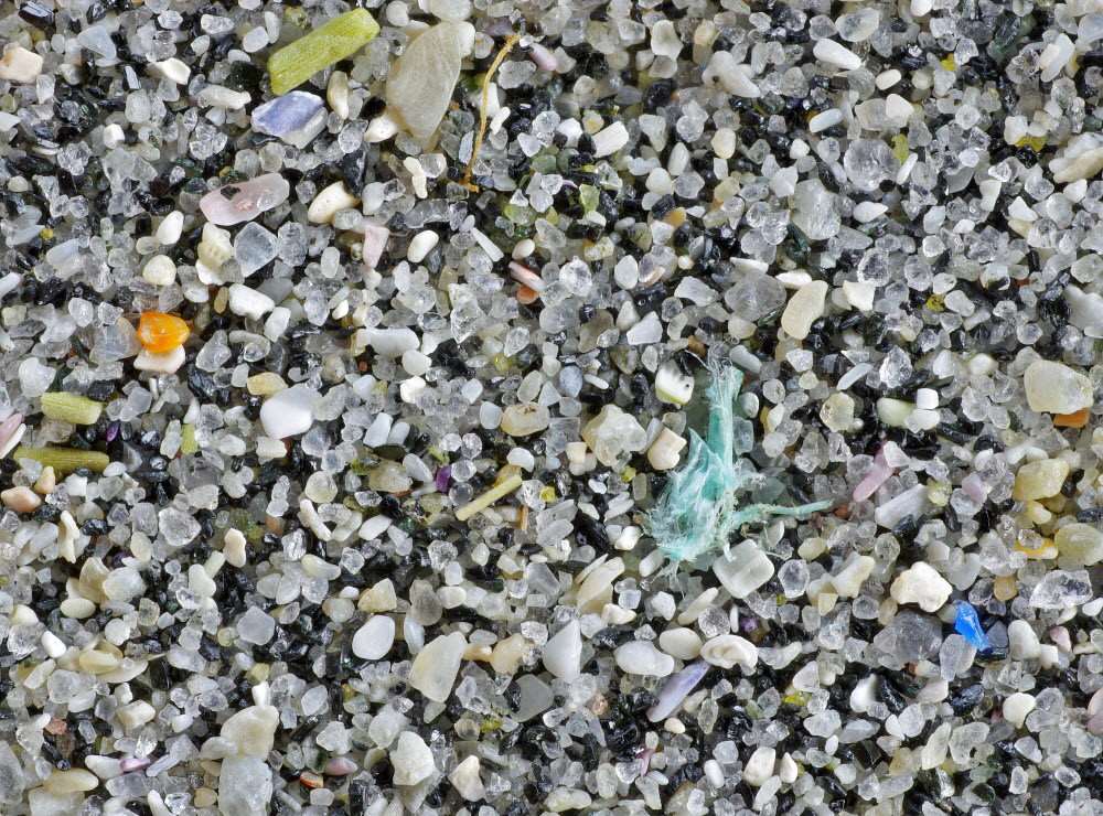 Microplastic Library | Stories | Monterey Bay Aquarium