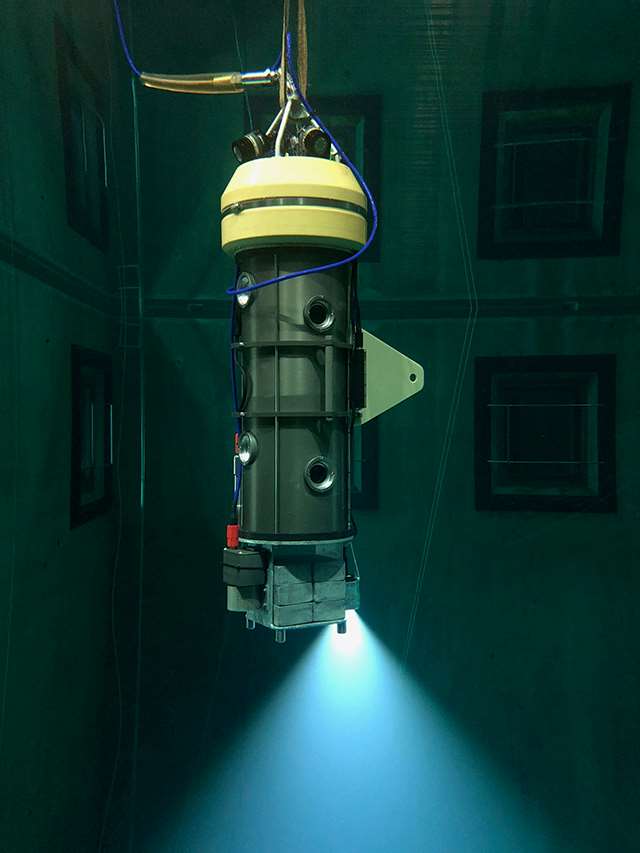 Counting fish like a BOSS | Stories | Monterey Bay Aquarium