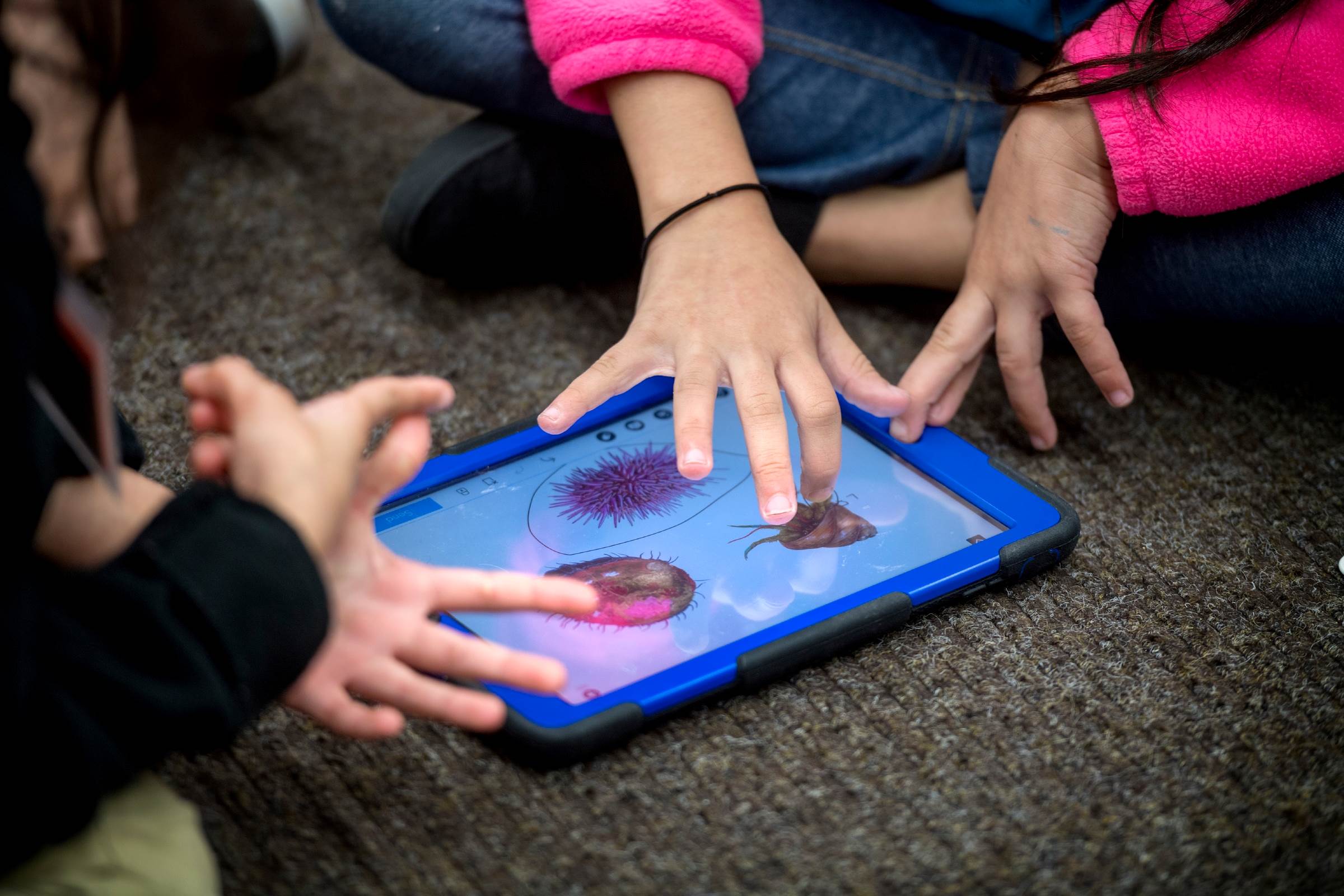 Transforming science teaching through technology | Stories | Monterey ...