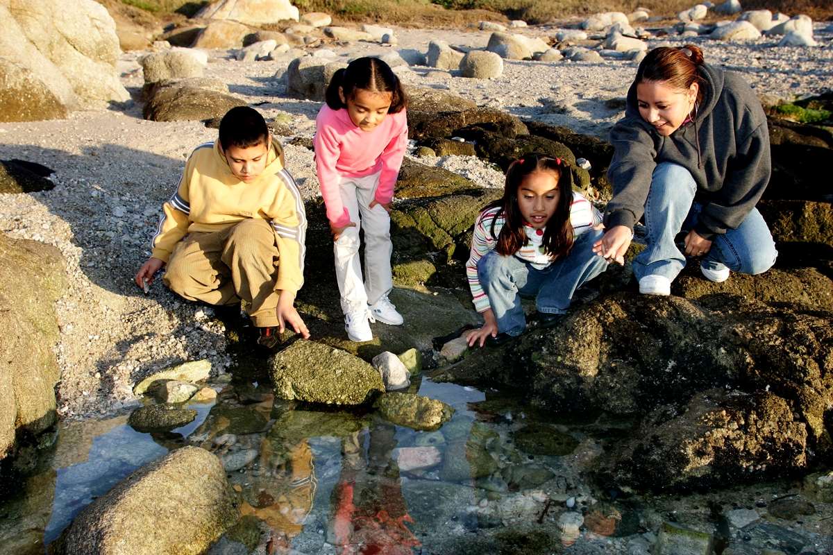 Climate Change: A triple threat for the ocean | Monterey Bay Aquarium