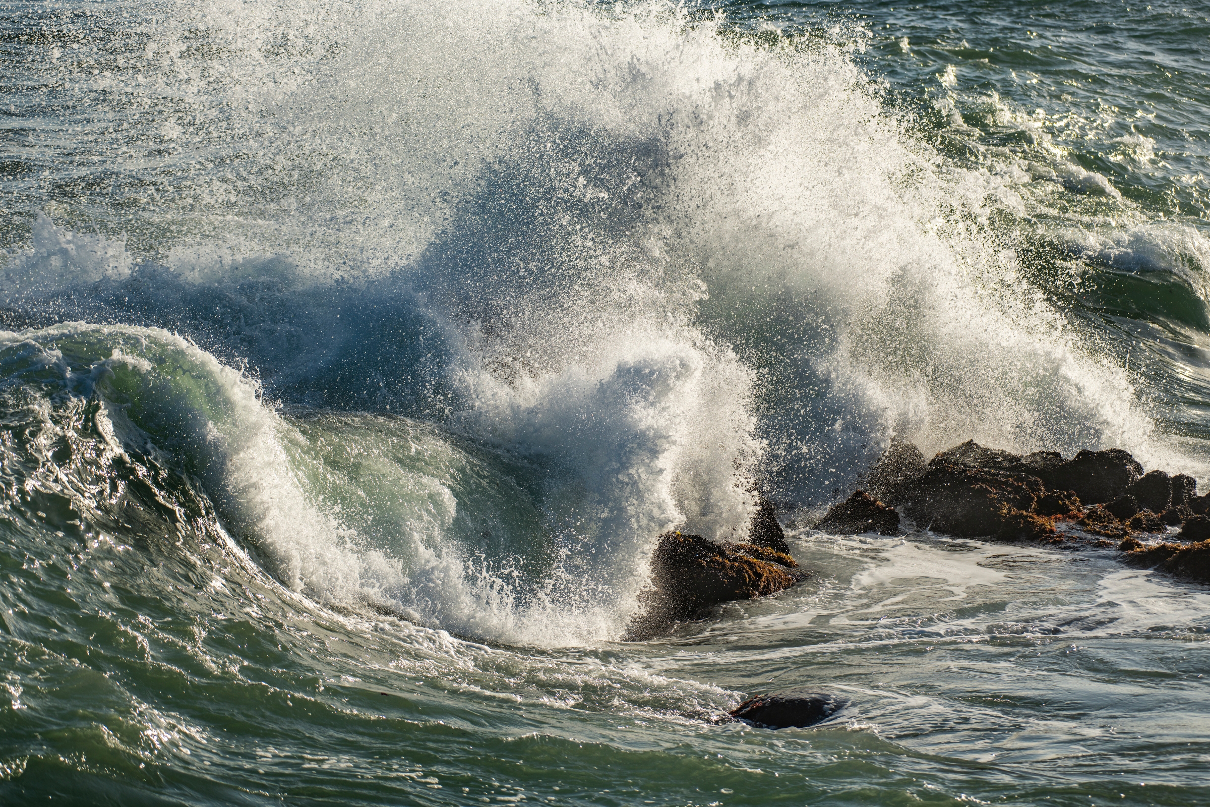Field studies of ocean acidification | Stories | Monterey Bay Aquarium