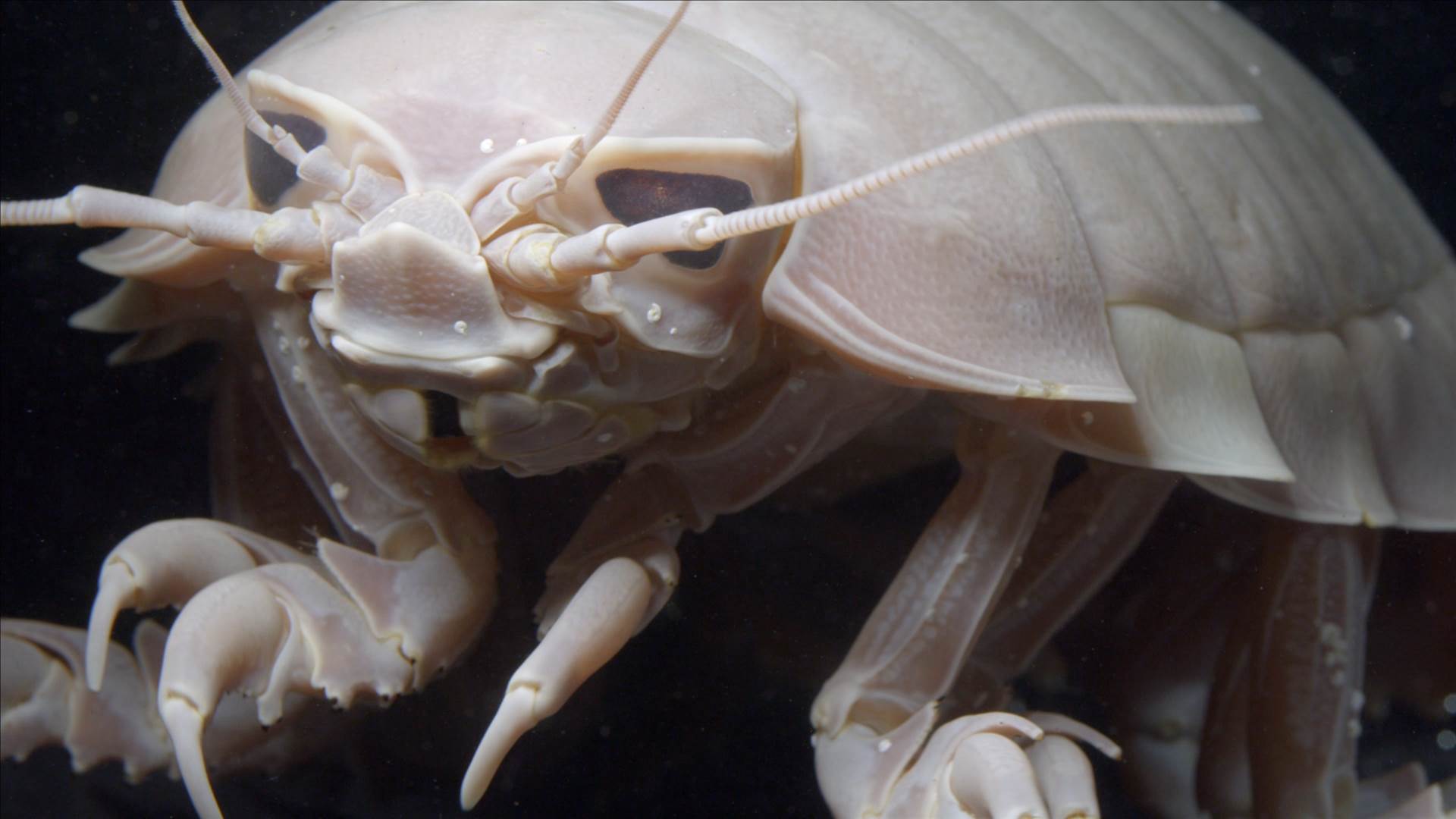 Monterey Bay Aquarium