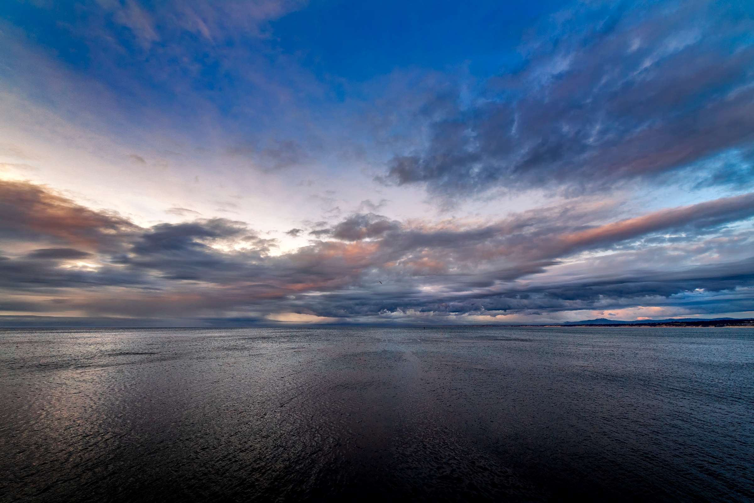 Monterey Bay Aquarium