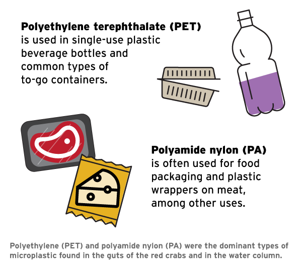 Putting science to work to reduce plastic pollution | Stories ...