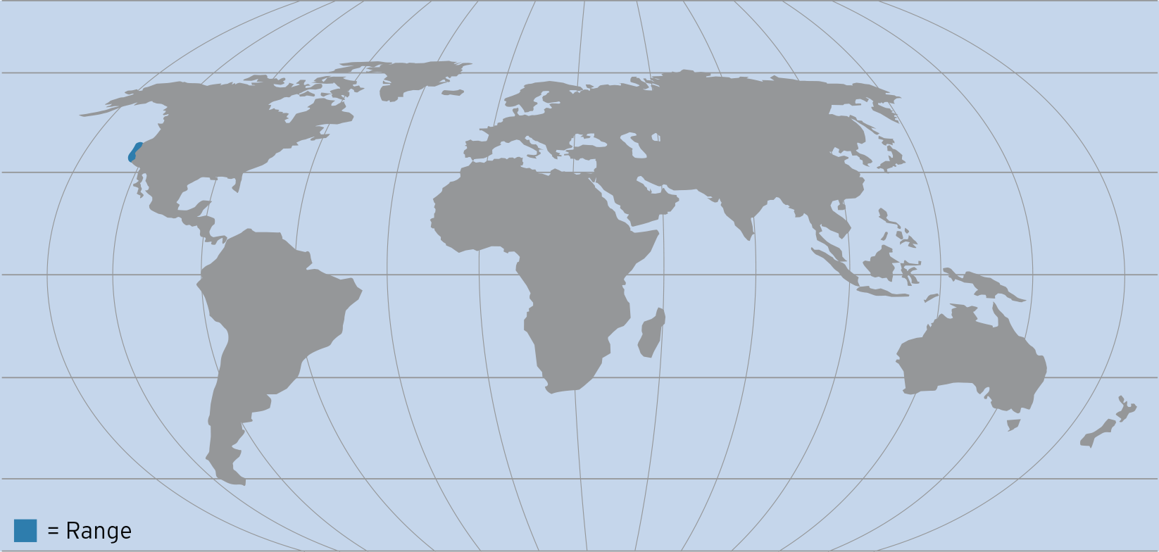 Sea otter | Animals | Monterey Bay Aquarium