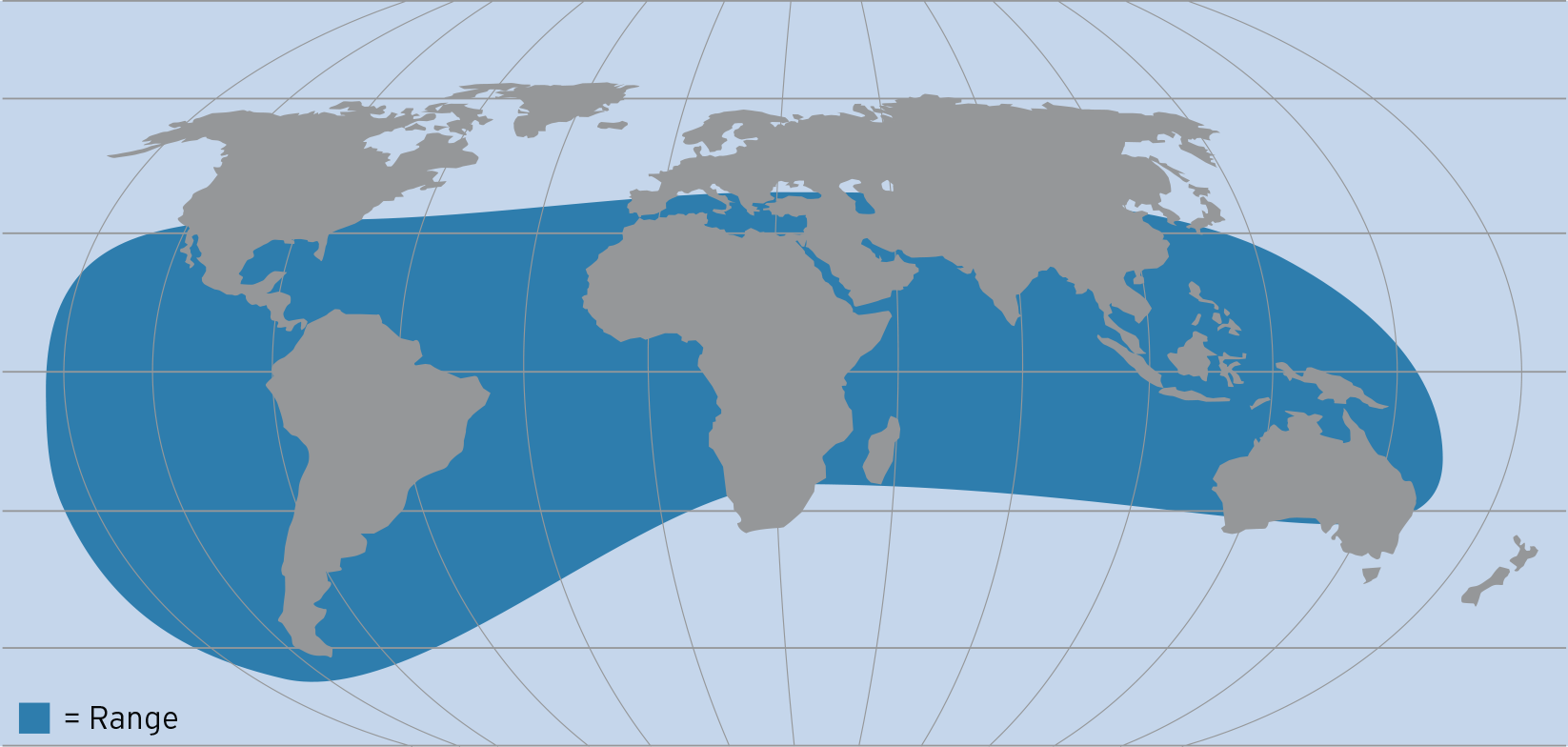 Map Of Where The Green Turtle Lives