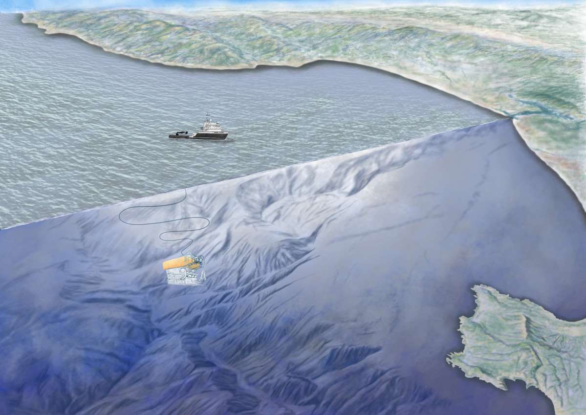 Searching in the dark | Stories | Monterey Bay Aquarium